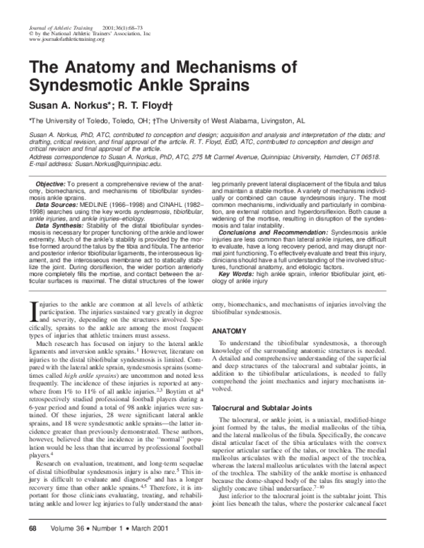 (PDF) The anatomy and mechanisms of syndesmotic ankle sprains