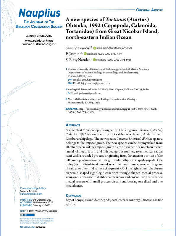 (PDF) A new species of Tortanus (Atortus) Ohtsuka, 1992 (Copepoda ...