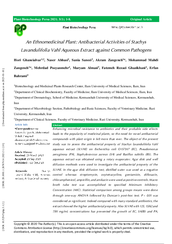 (PDF) An Ethnomedicinal Plant: Antibacterial Activities of Stachys Lavandulifolia Vahl Aqueous ...