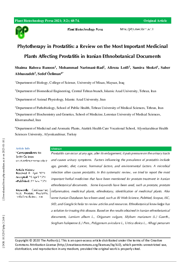 (PDF) Phytotherapy in Prostatitis: a Review on the Most Important ...