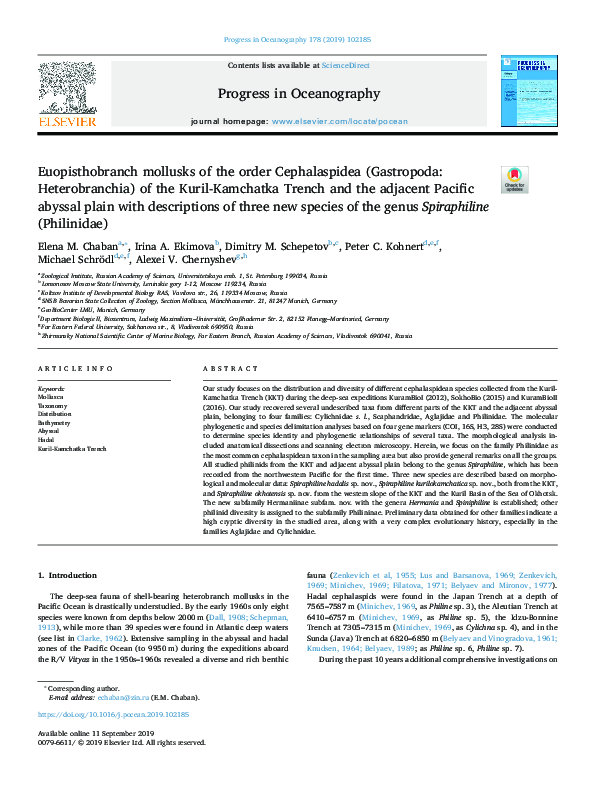 (PDF) Euopisthobranch mollusks of the order Cephalaspidea (Gastropoda ...