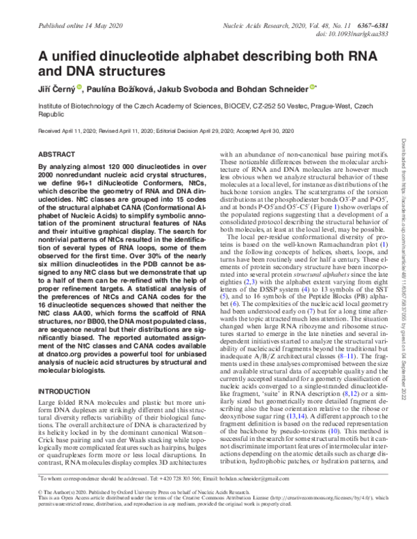 (PDF) A unified dinucleotide alphabet describing both RNA and DNA ...