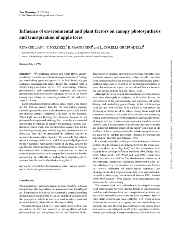 (PDF) Influence of environmental and plant factors on canopy ...