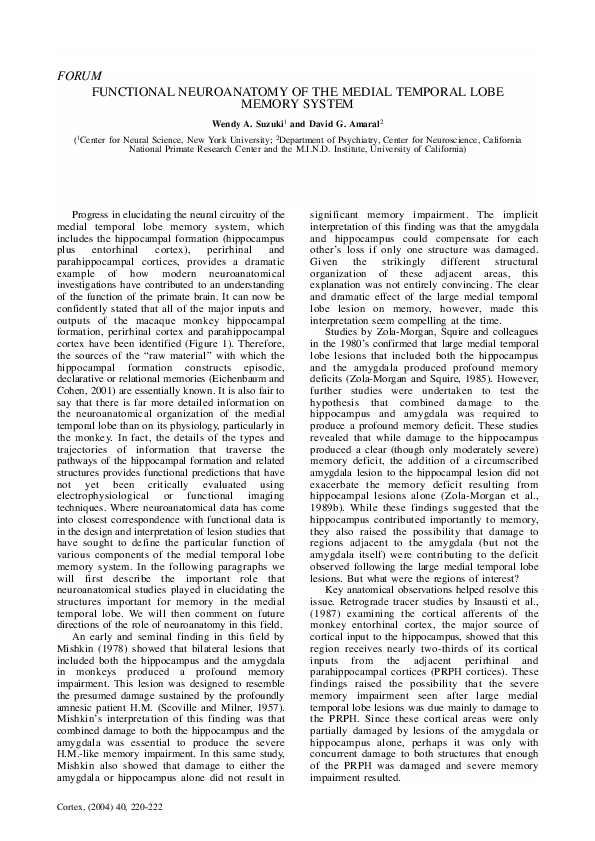 Pdf Functional Neuroanatomy Of The Medial Temporal Lobe Memory System