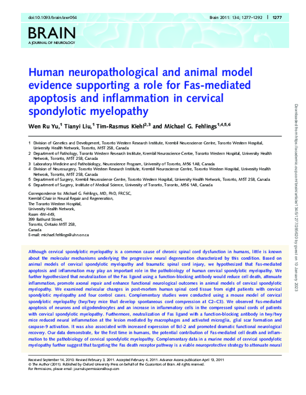 (PDF) Human neuropathological and animal model evidence supporting a ...