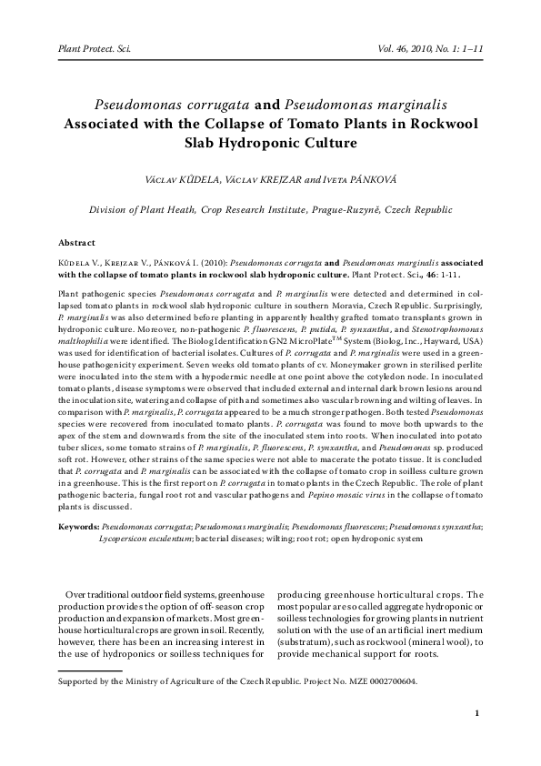 (PDF) Pseudomonas corrugata and Pseudomonas marginalis associated with ...