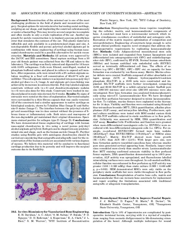 (PDF) In vitro Biomimicry for Vascularized Bone Engineering