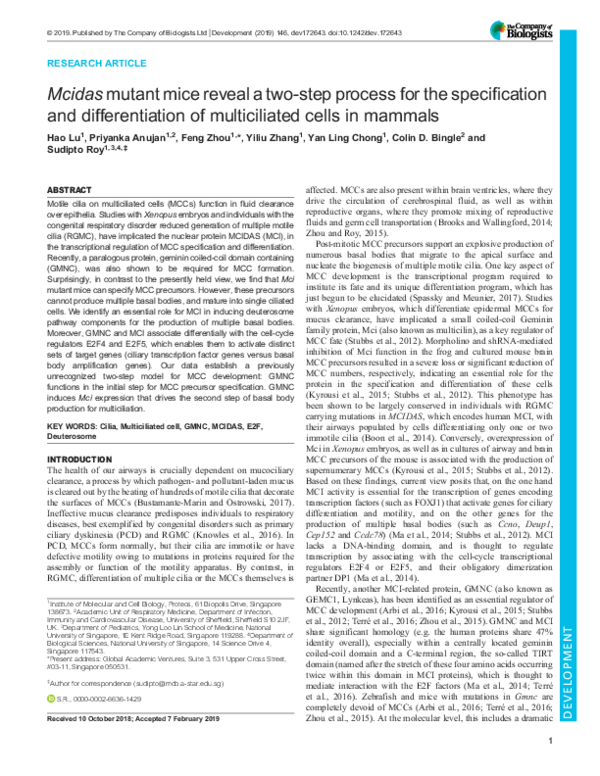 (PDF) Mcidas mutant mice reveal a two-step process for the ...
