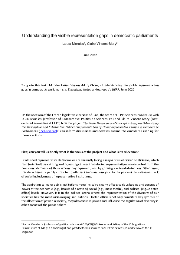 (PDF) Understanding the visible representation gaps in democratic ...