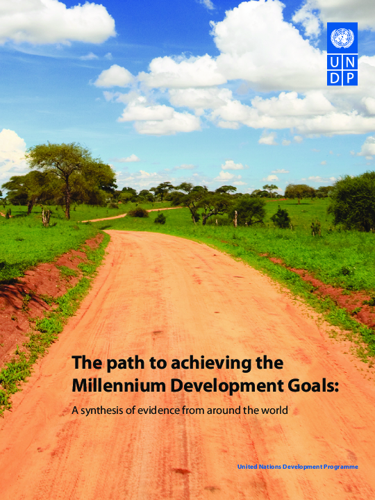 (PDF) THE-PATH-TO-ACHIEVING-THE-MILLENNIUM-DEVELOPMENT-GOALS-A ...