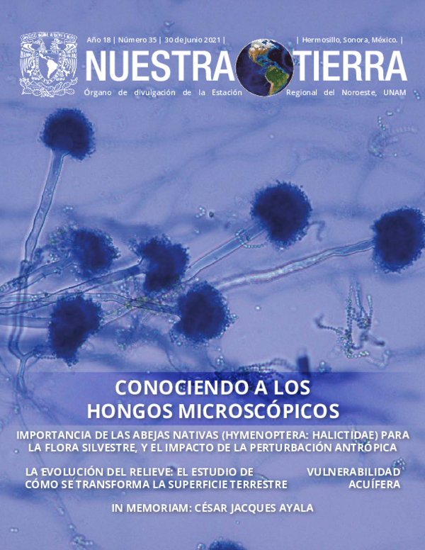 (PDF) NUESTRA TIERRA