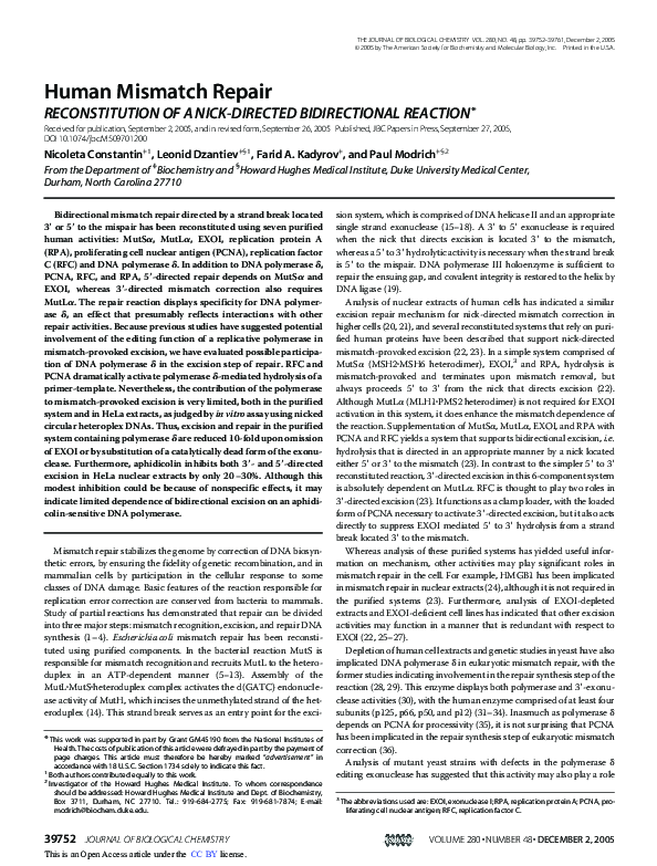 (PDF) Mechanisms of Human Mismatch Repair Dynamics