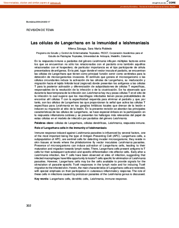 (PDF) Las células de Langerhans en la inmunidad a leishmaniasis