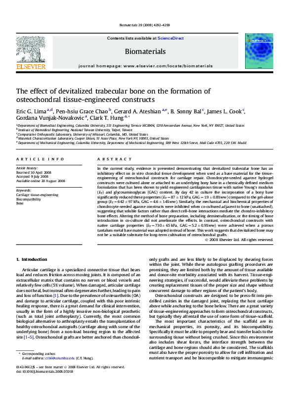 (PDF) The effect of devitalized trabecular bone on the formation of ...