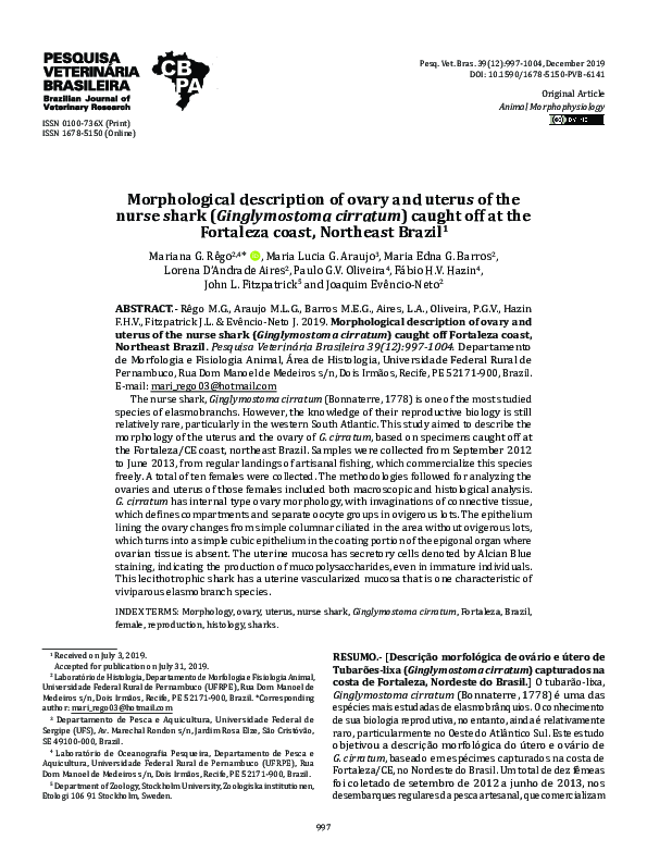 (PDF) Morphological description of ovary and uterus of the nurse shark (Ginglymostoma cirratum ...