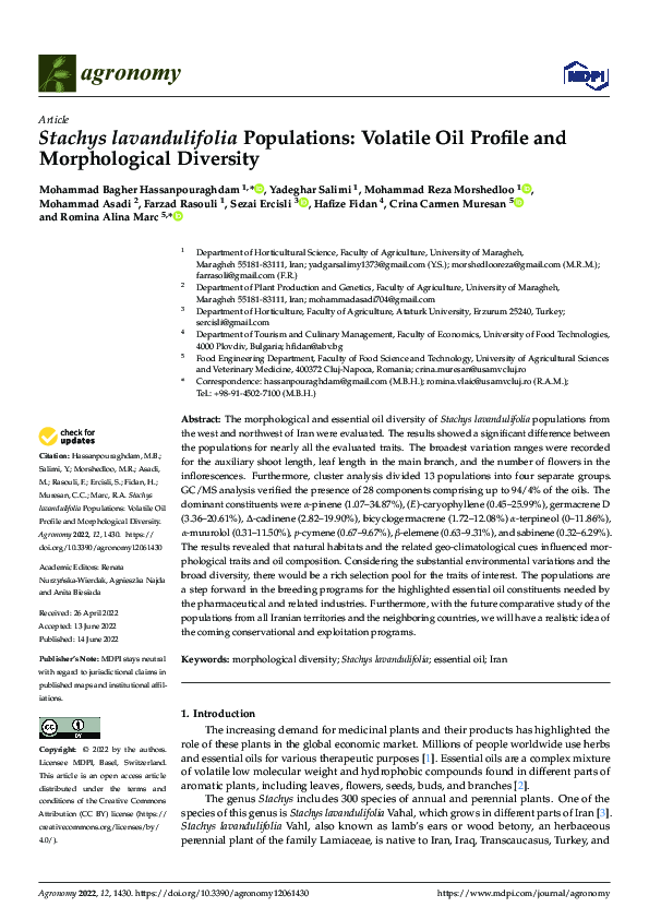 (PDF) Stachys lavandulifolia Populations: Volatile Oil Profile and Morphological Diversity