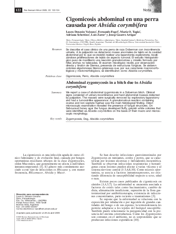(PDF) Cigomicosis abdominal en una perra causada por Absidia ...