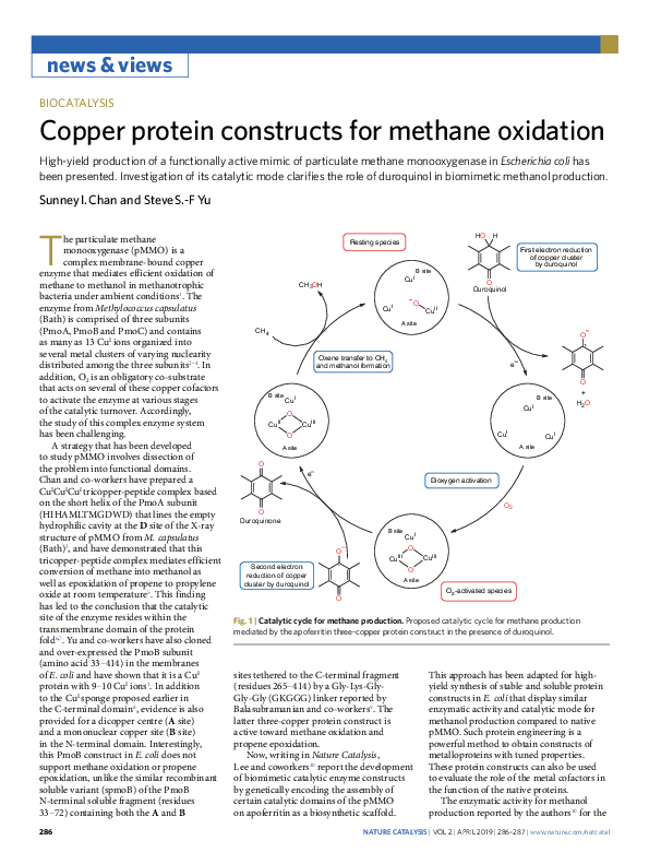 (PDF) Copper protein constructs for methane oxidation