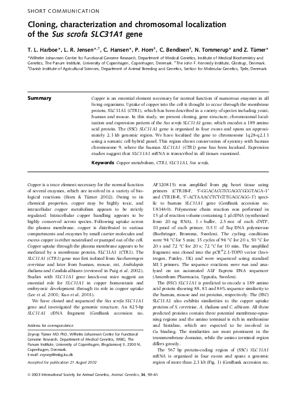 (PDF) Cloning, characterization and chromosomal localization of the Sus ...