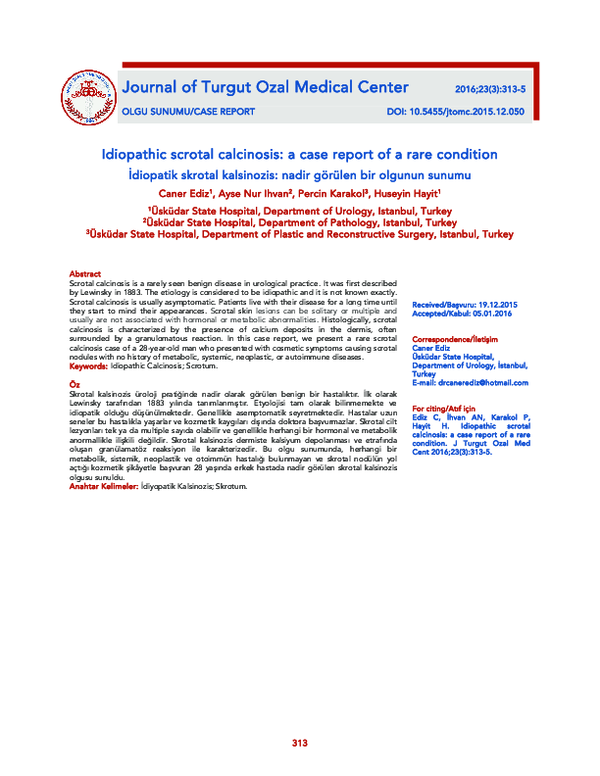 (PDF) Idiopathic scrotal calcinosis: a case report of a rare condition /Idiopatik skrotal ...