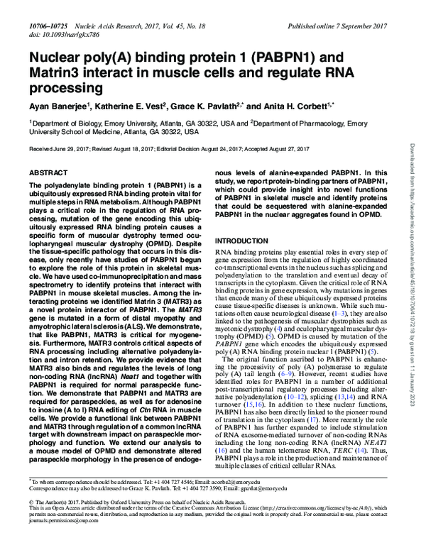 (PDF) Nuclear poly(A) binding protein 1 (PABPN1) and Matrin3 interact ...