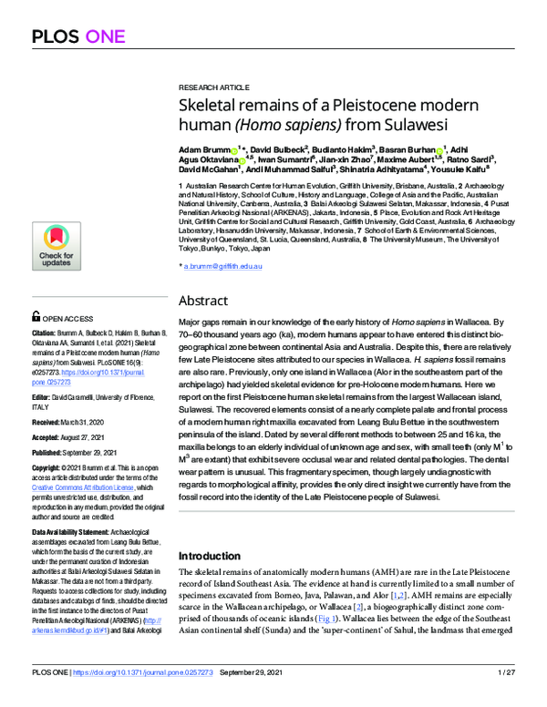 (PDF) Skeletal remains of a Pleistocene modern human (Homo sapiens ...
