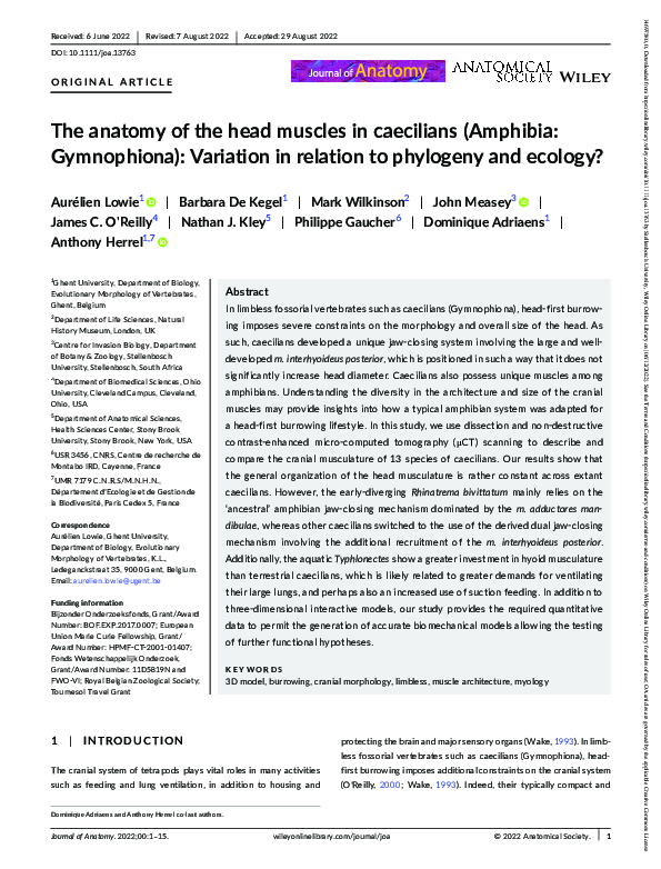 (PDF) The anatomy of the head muscles in caecilians (Amphibia ...