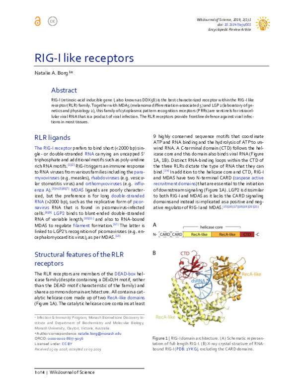 (PDF) RIG-I like receptors