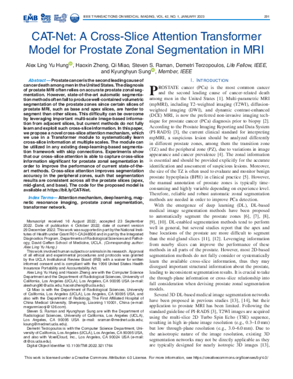 Pdf Cat Net A Cross Slice Attention Transformer Model For Prostate Zonal Segmentation In Mri