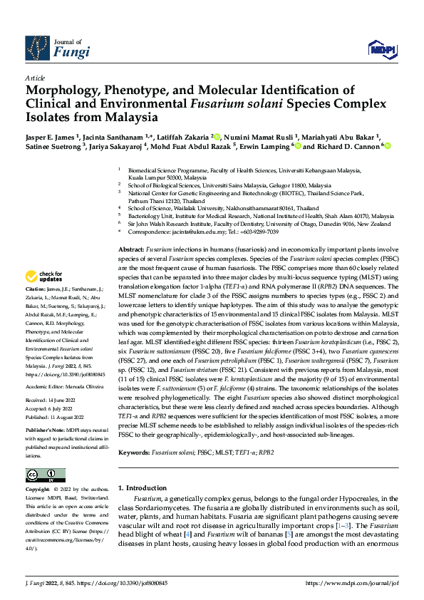(PDF) Morphology, Phenotype, and Molecular Identification of Clinical and Environmental Fusarium ...