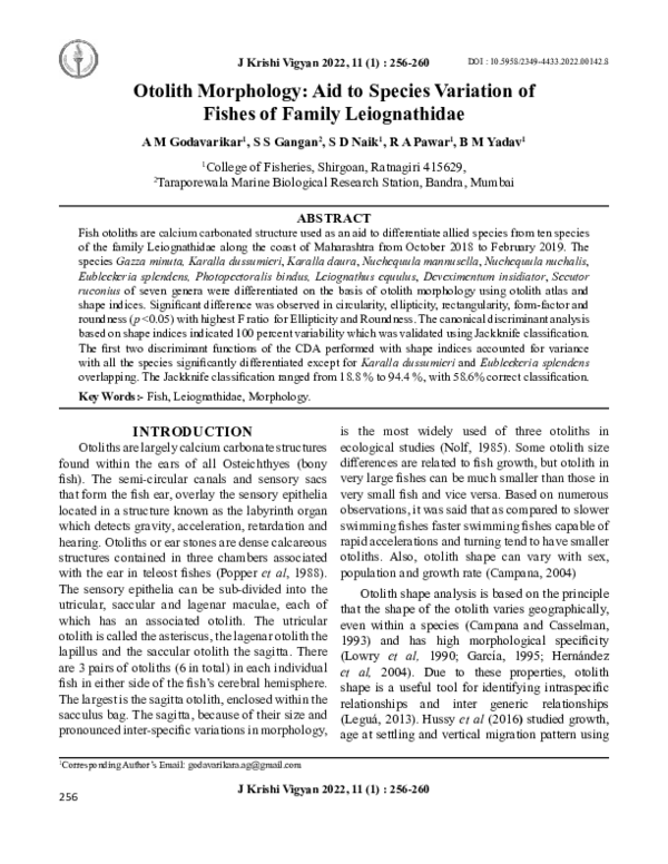 (PDF) Otolith Morphology: Aid to Species Variation of Fishes of Family ...