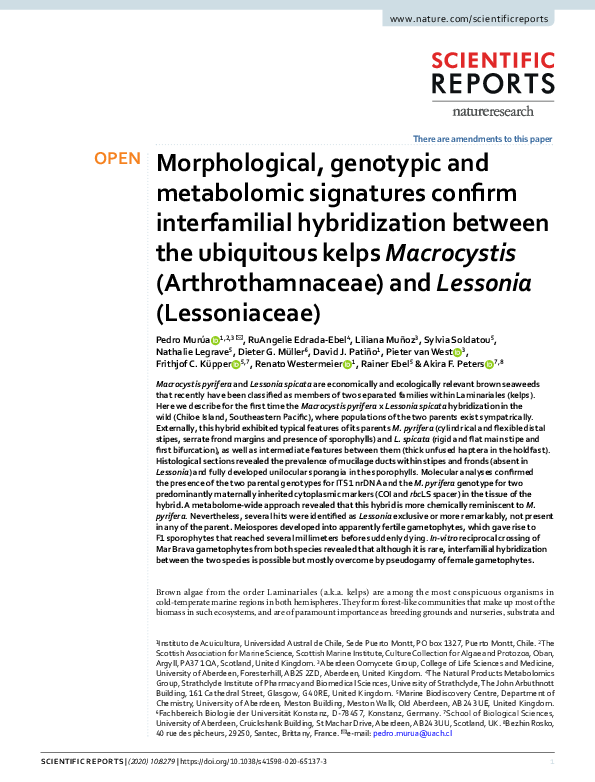 (PDF) Morphological, genotypic and metabolomic signatures confirm ...