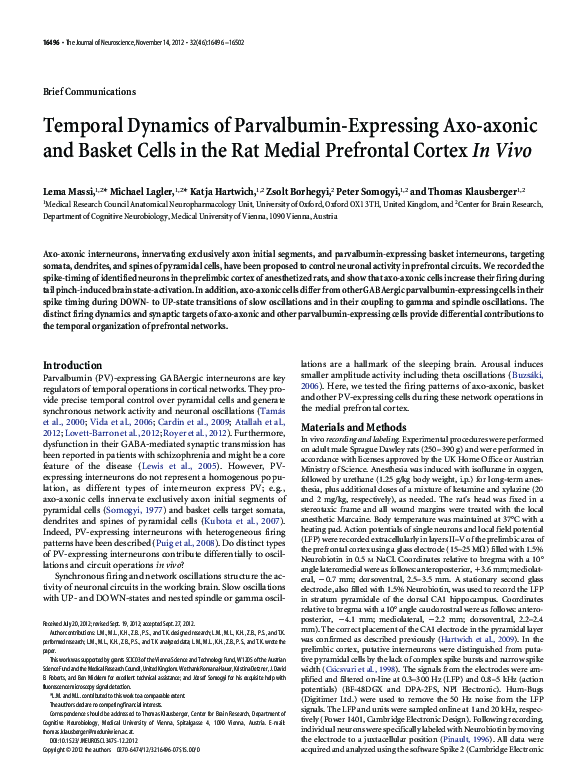 (PDF) Dynamics of Parvalbumin Interneurons in Rat PFC
