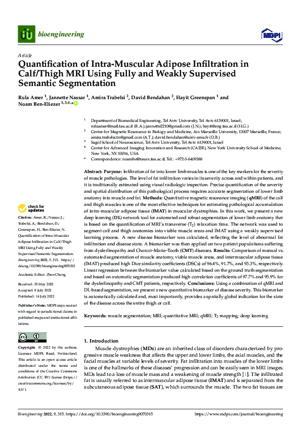 Pdf Quantification Of Intra Muscular Adipose Infiltration In Calf