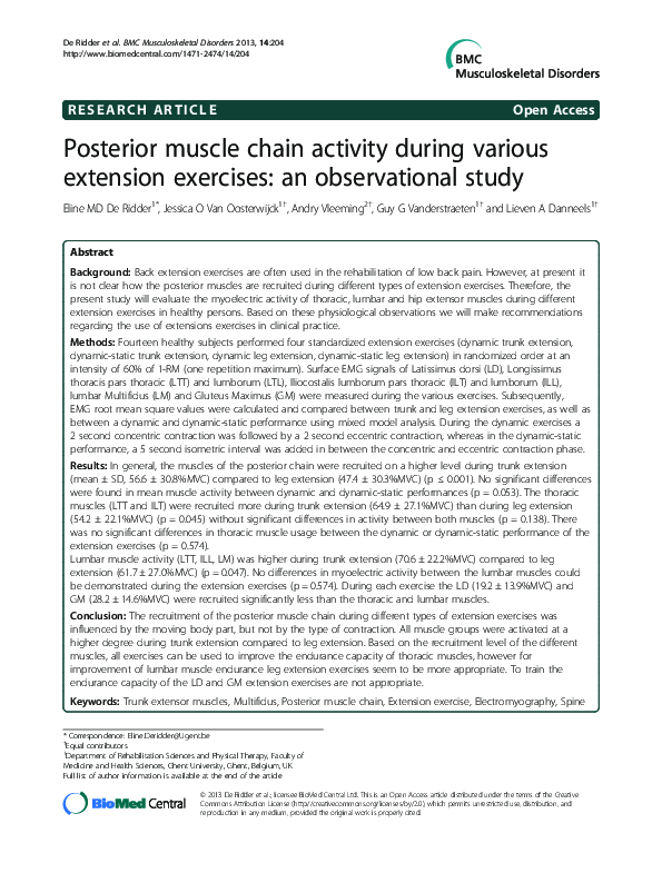 (PDF) Posterior muscle chain activity during various extension ...