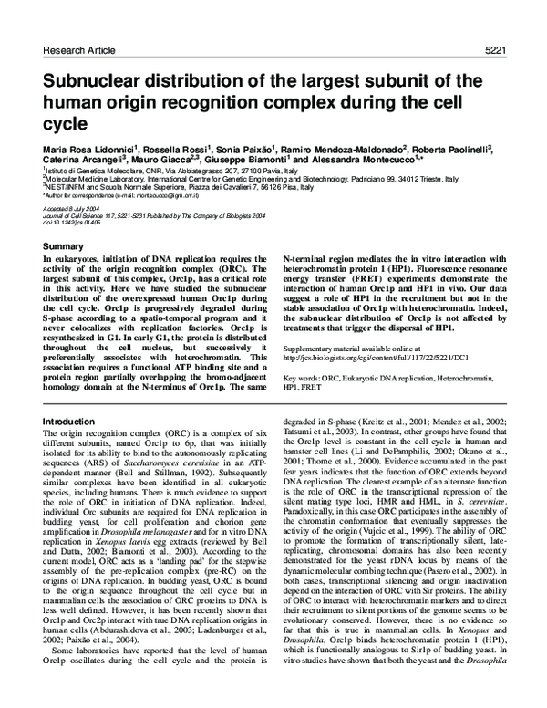Pdf Subnuclear Distribution Of The Largest Subunit Of The Human Origin Recognition Complex
