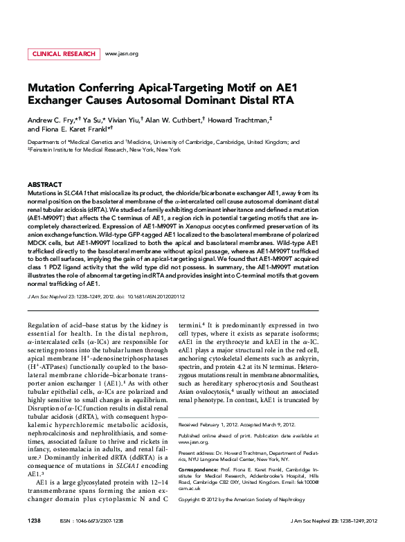 (PDF) Mutation Conferring Apical-Targeting Motif on AE1 Exchanger ...