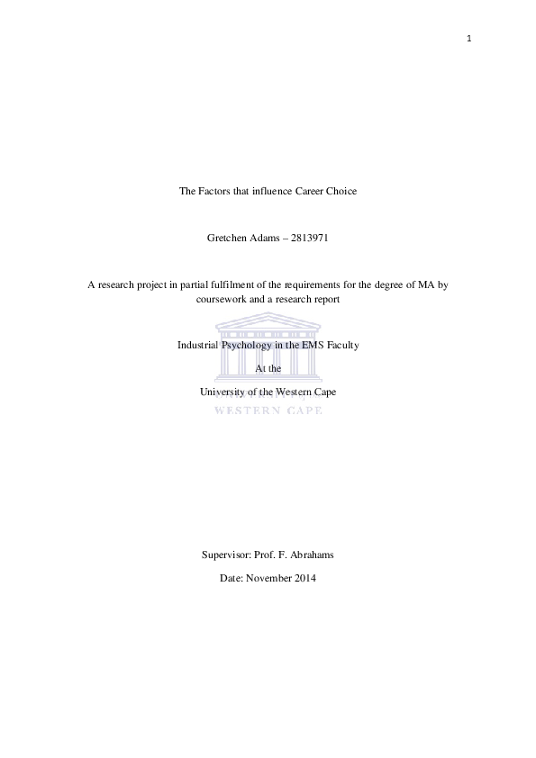 (PDF) The factors that influence career choice