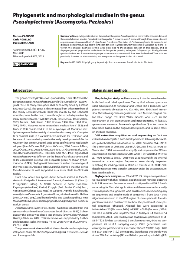 (PDF) Phylogenetic and morphological studies in the genus Pseudoplectania (Ascomycota, Pezizales)