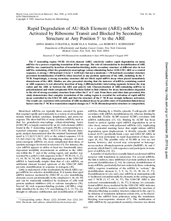 (PDF) Rapid degradation of AU-rich element (ARE) mRNAs is activated by ...