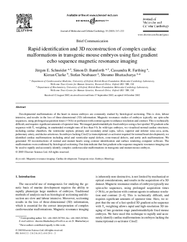 (PDF) Rapid identification and 3D reconstruction of complex cardiac ...