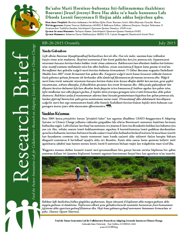 (PDF) Bu’aalee Marii Horsiisee-bultootaa Itti-fufiinsummaa ilaalchisee: Booranni Jiruuf-jireenyi ...