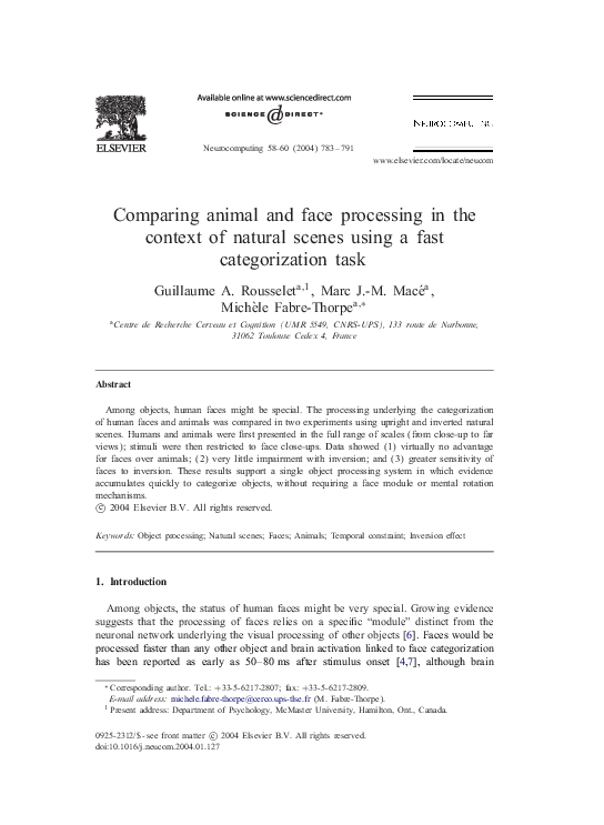 (PDF) Comparing animal and face processing in the context of natural scenes using a fast ...
