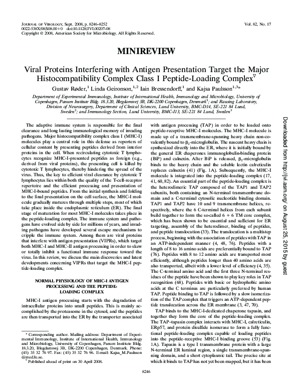 (PDF) Viral Proteins Interfering with Antigen Presentation Target the Major Histocompatibility ...