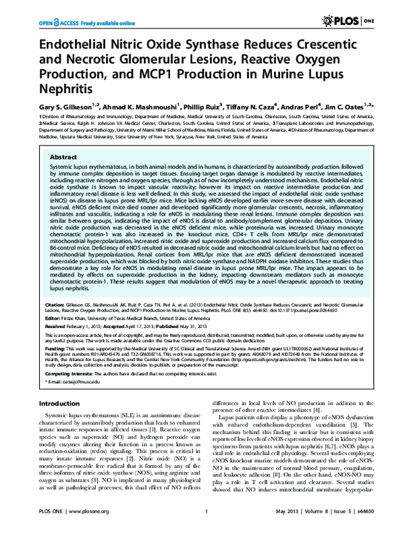(PDF) Endothelial Nitric Oxide Synthase Reduces Crescentic and Necrotic Glomerular Lesions ...