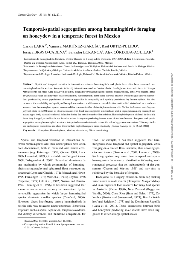 Pdf Temporal Spatial Segregation Among Hummingbirds Foraging On Honeydew In A Temperate Forest