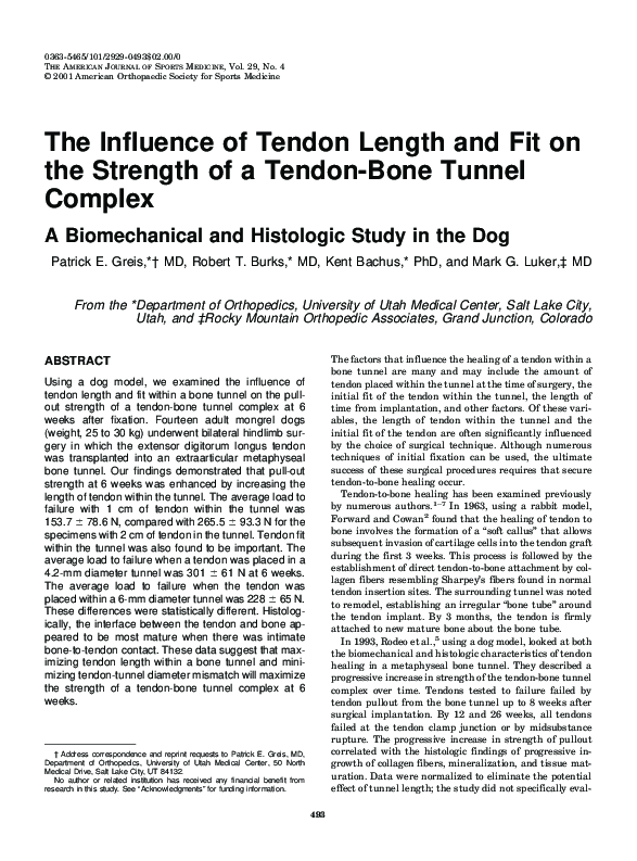 (PDF) The Influence of Tendon Length and Fit on the Strength of a Tendon-Bone Tunnel Complex