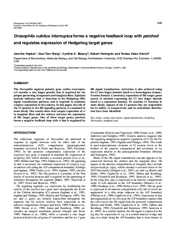 (PDF) Drosophila cubitus interruptus forms a negative feedback loop ...