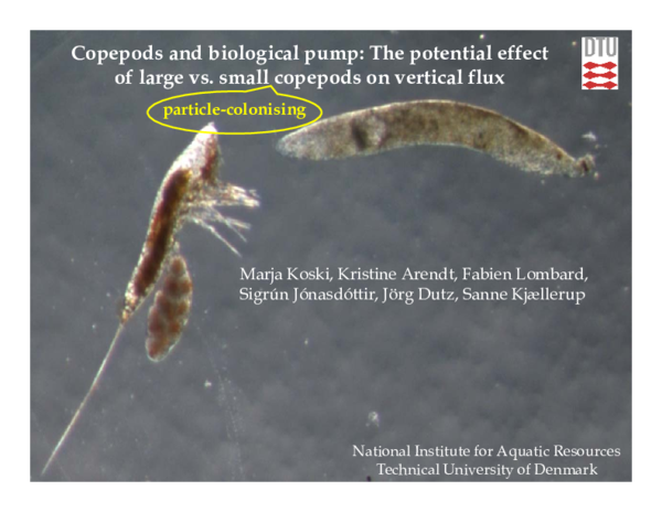 (PDF) Copepods and biological pump: The potential effect of large vs ...