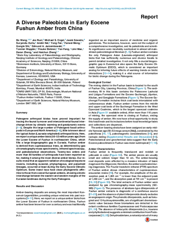 A Diverse Paleobiota in Early Eocene Fushun Amber from China